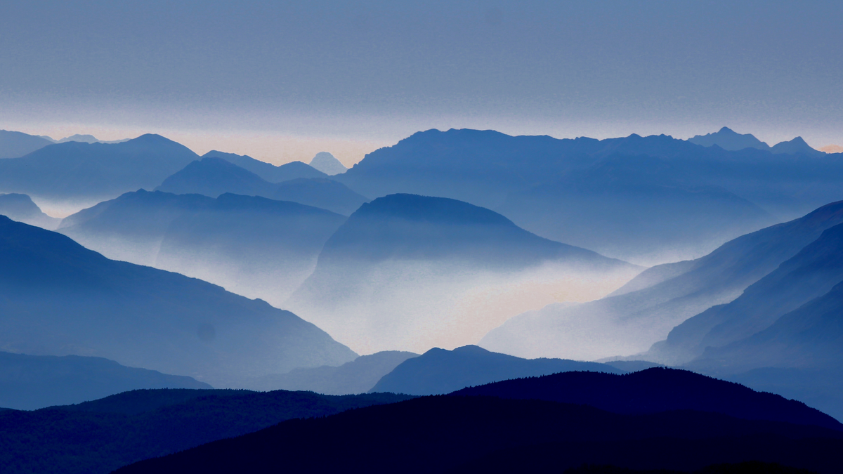 Pantone Color Of The Year 2020 ‚Äì Herbal Tea | TEALEAVES